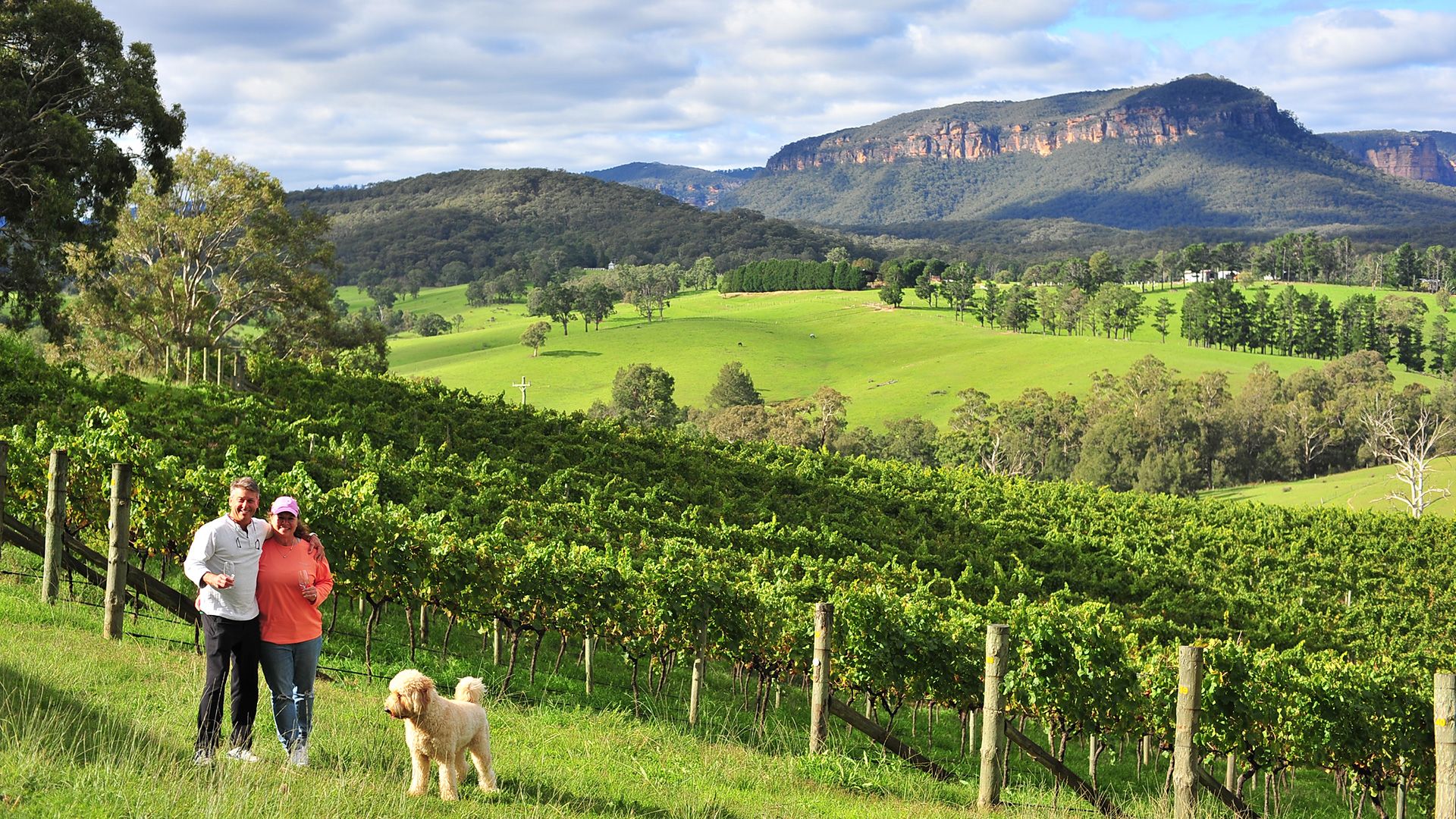 Blue Mountains Private Tour with Winery Visit | Your Sydney Guide